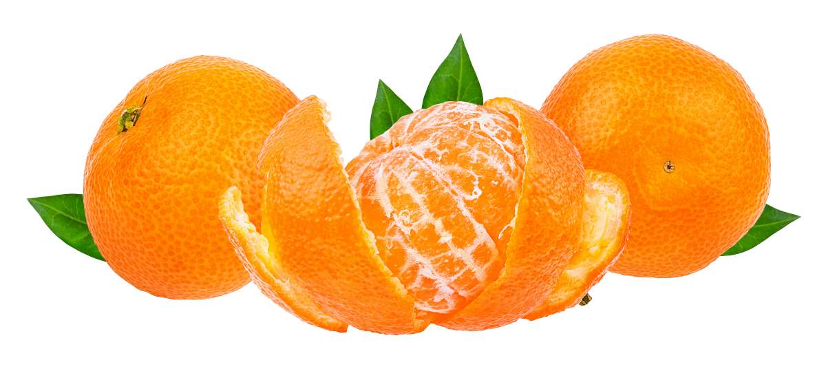 Mandarini: proprietà, origini, valori nutrizionali e curiosità